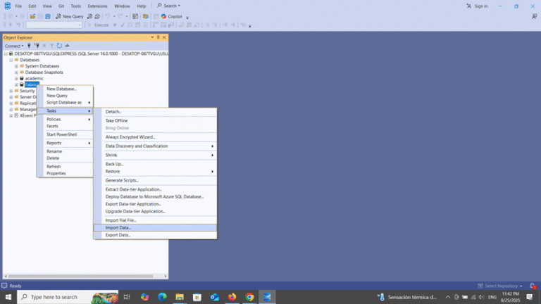 Importar datos de Excel a SQL SERVER EXPRESS
